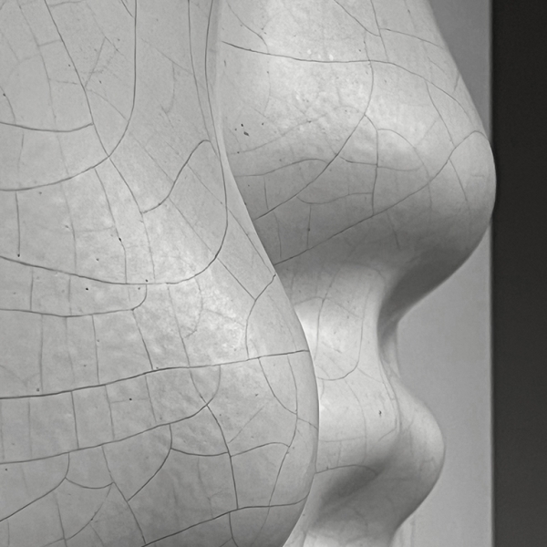 Cor Dam Biomorphic Wall Relief